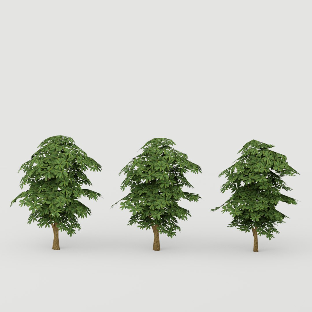 3D Cerbera Tree Model - TurboSquid 1425230