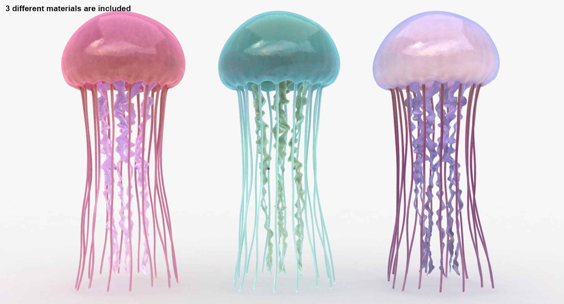 3D sea animals - TurboSquid 1399229