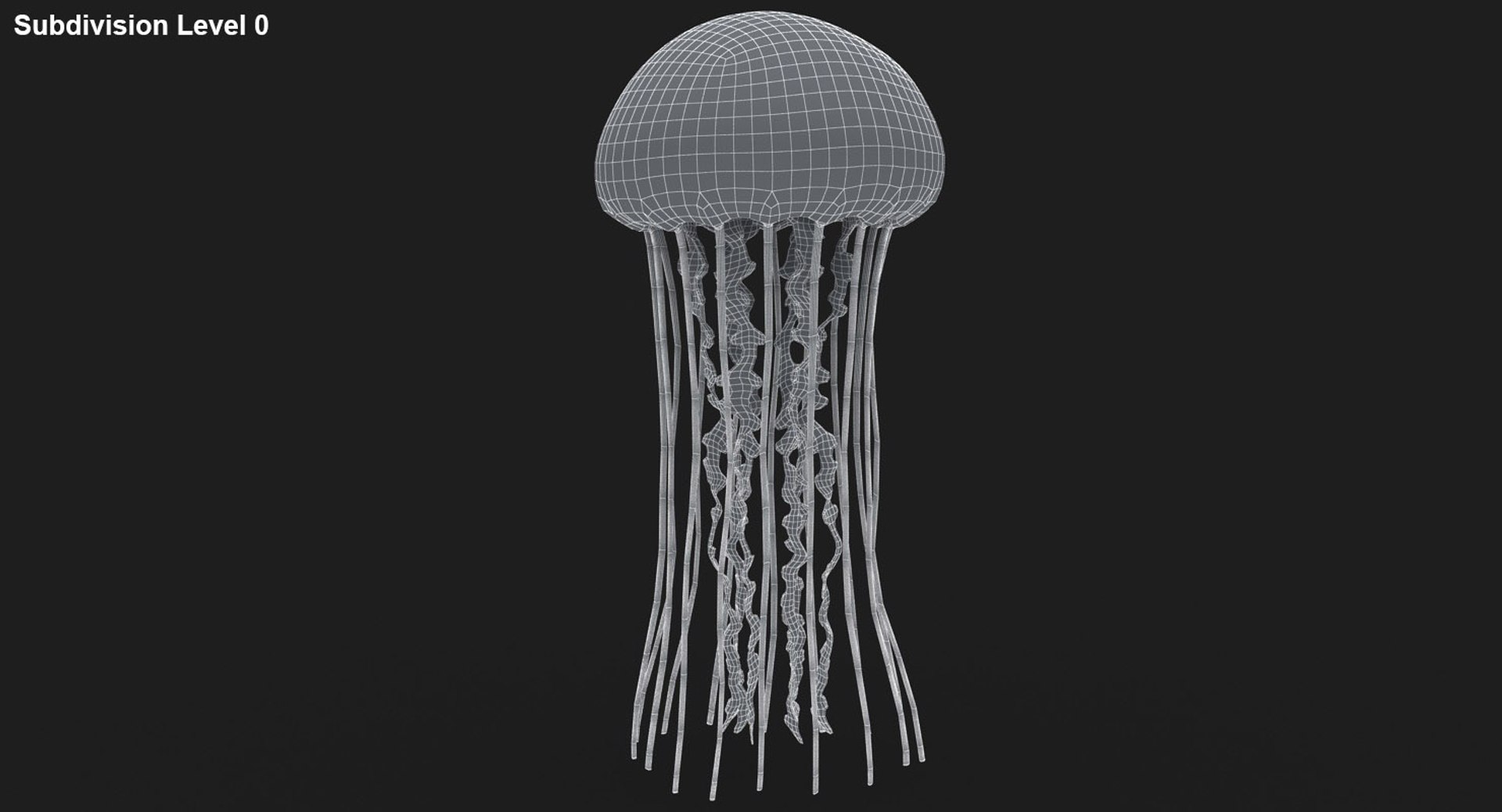3D sea animals - TurboSquid 1399229