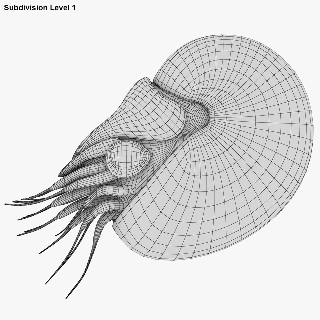 3D sea animals - TurboSquid 1399229