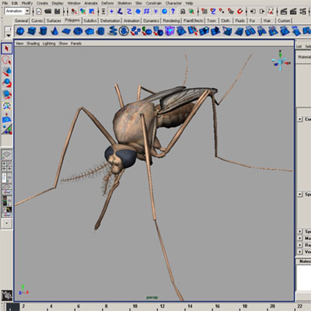 Mosquito Insect 3d Model