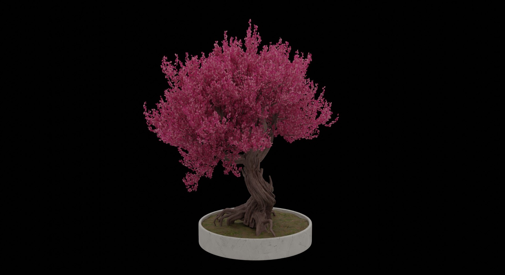 Pink Bonsai 3D Model - TurboSquid 2221739