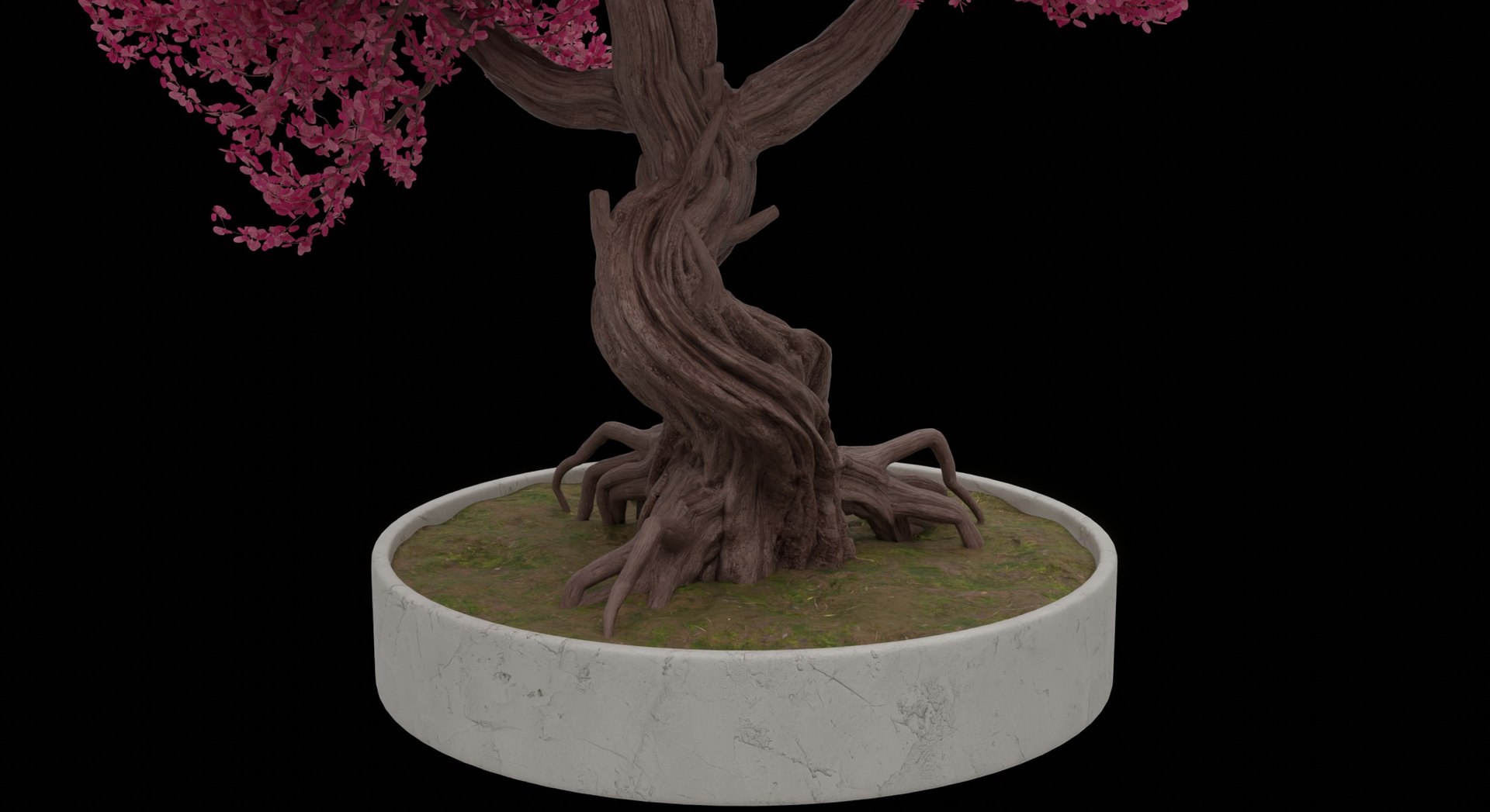 Pink Bonsai 3D Model - TurboSquid 2221739