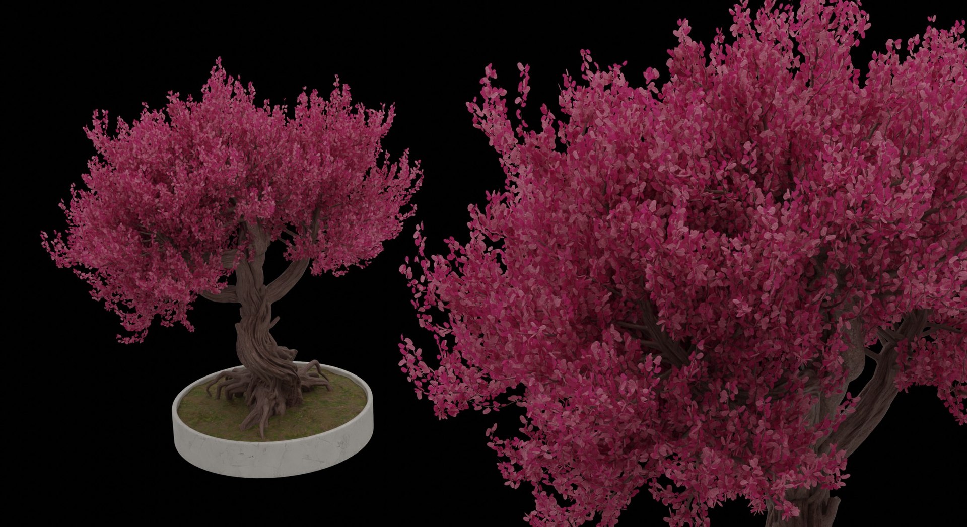 Pink Bonsai 3D Model - TurboSquid 2221739