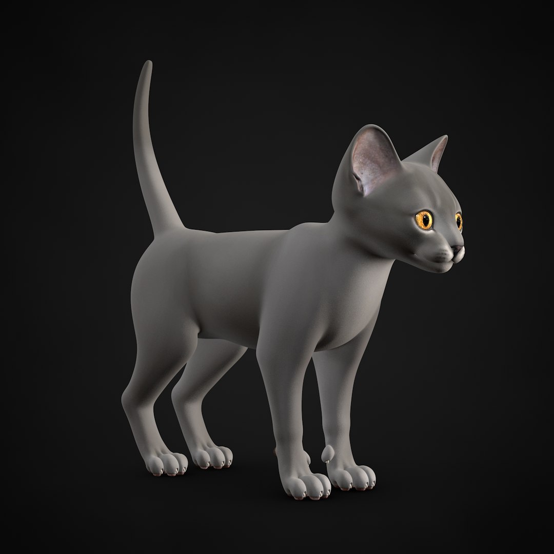 kitten grey 3d model