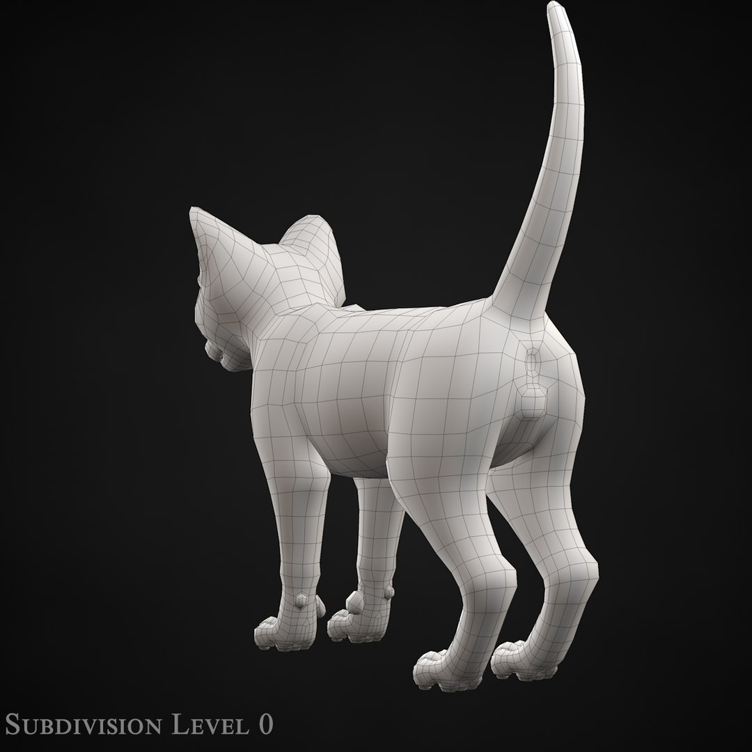 kitten grey 3d model