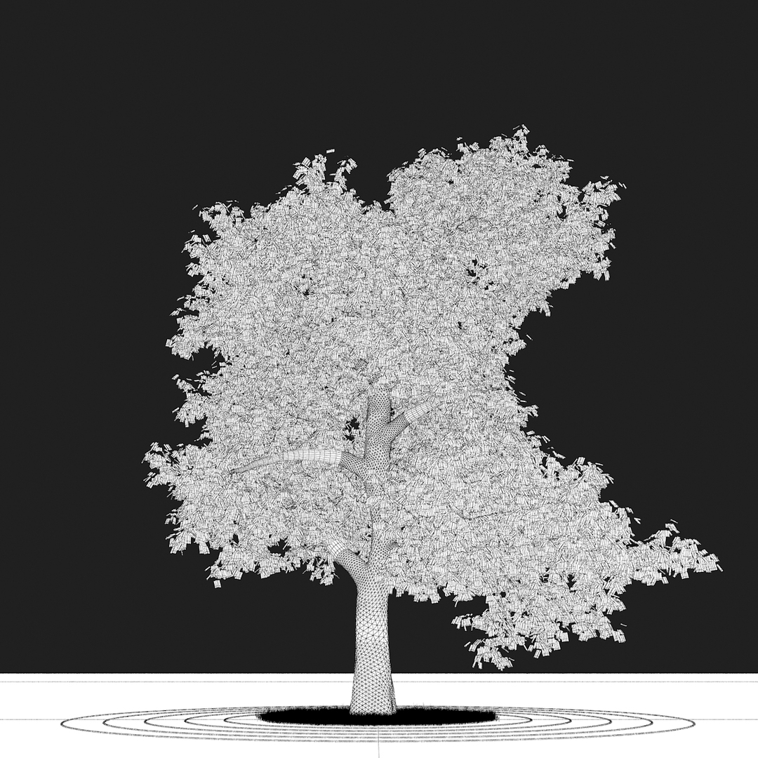 3d platanus tree bark model