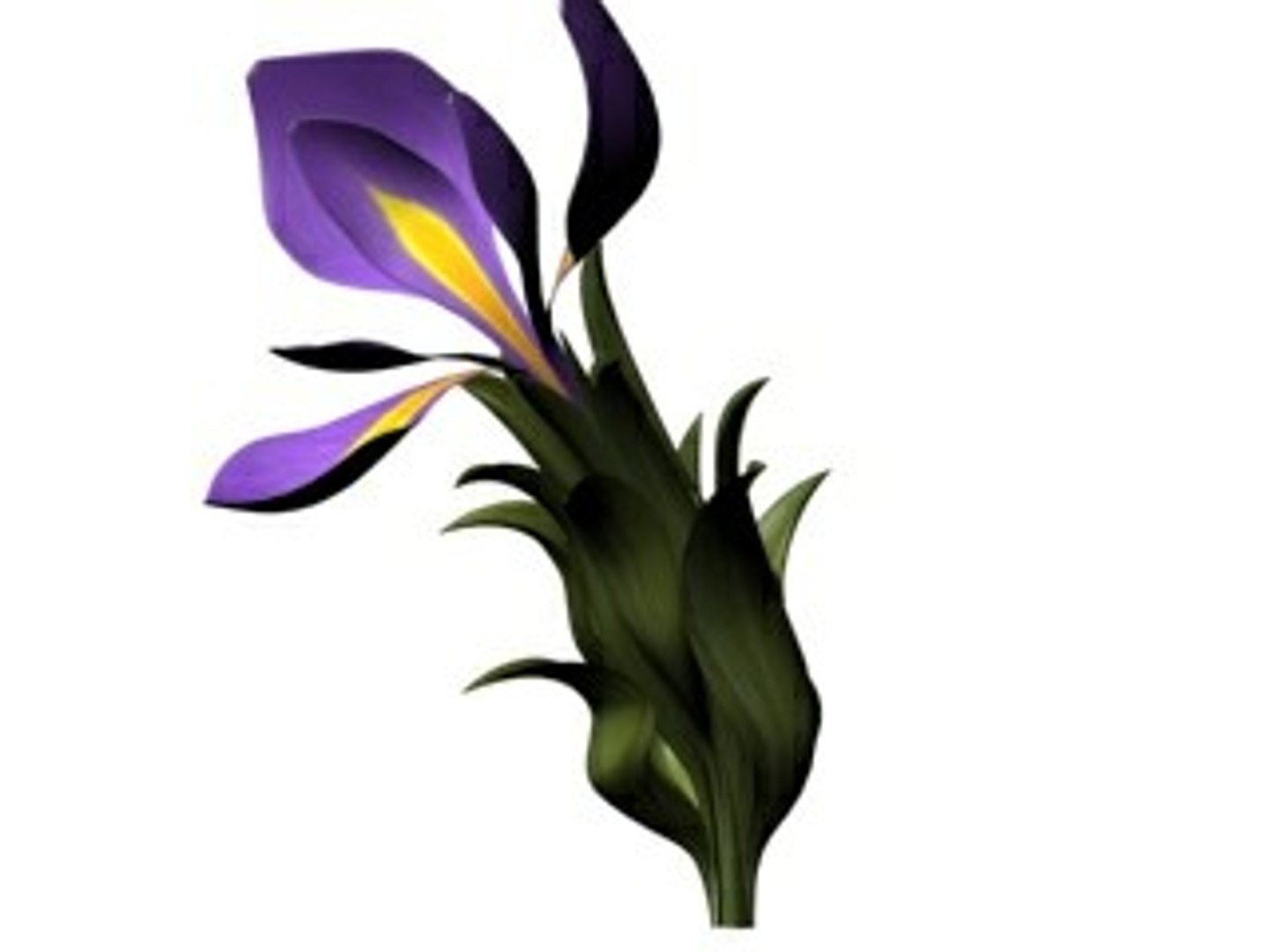 3d model realistic flower 3 open