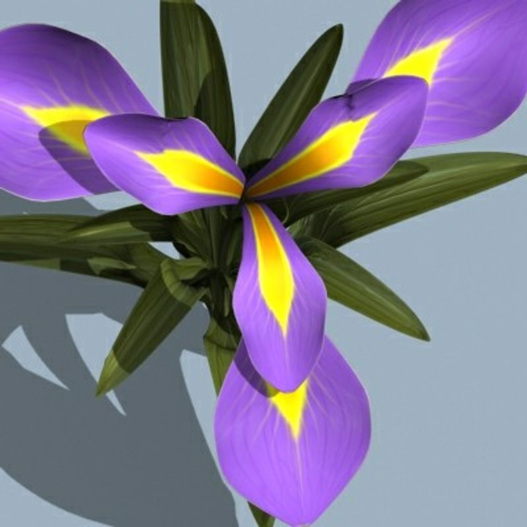 3d Model Realistic Flower 3 Open