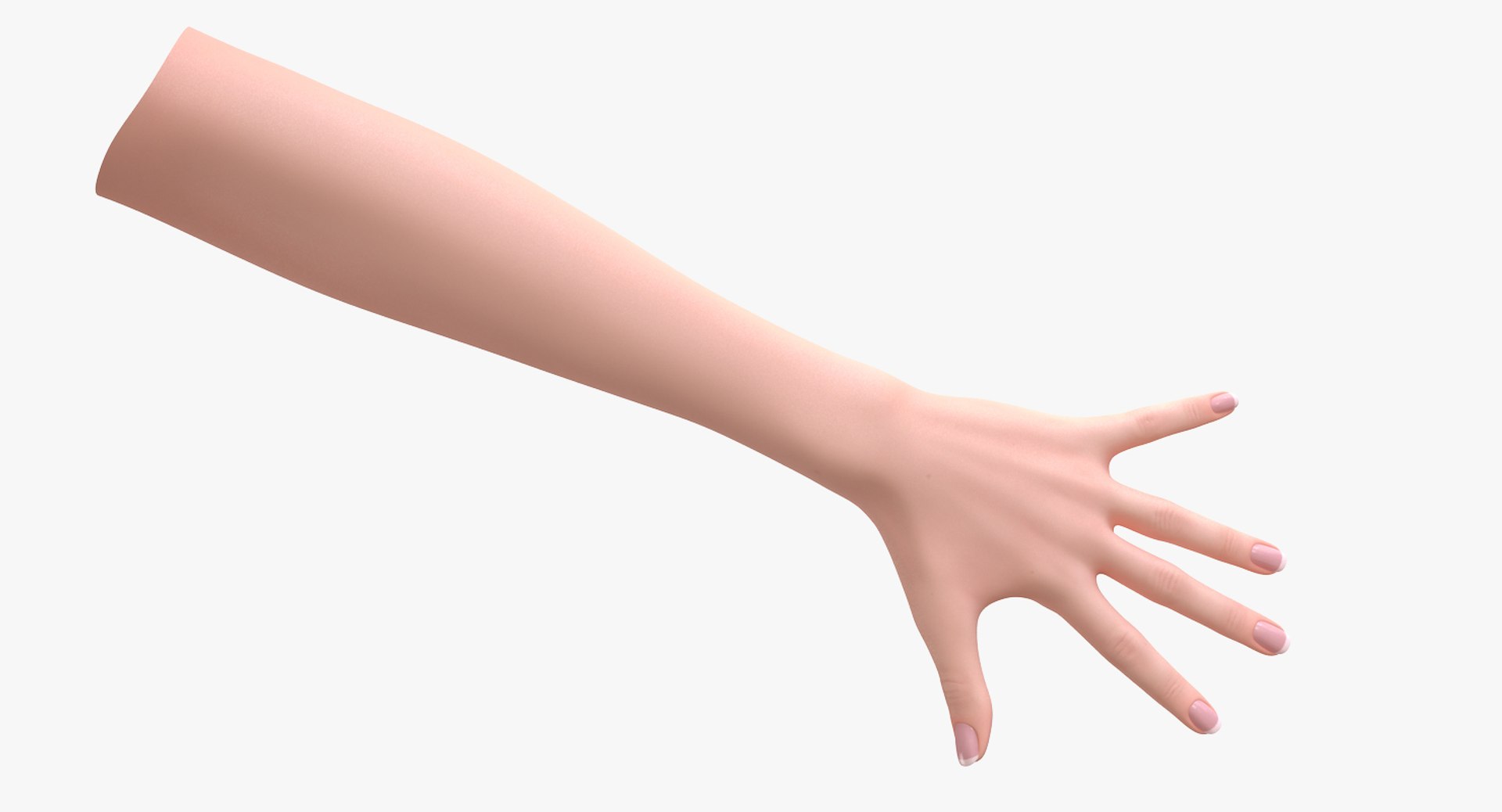 3d Female Hand