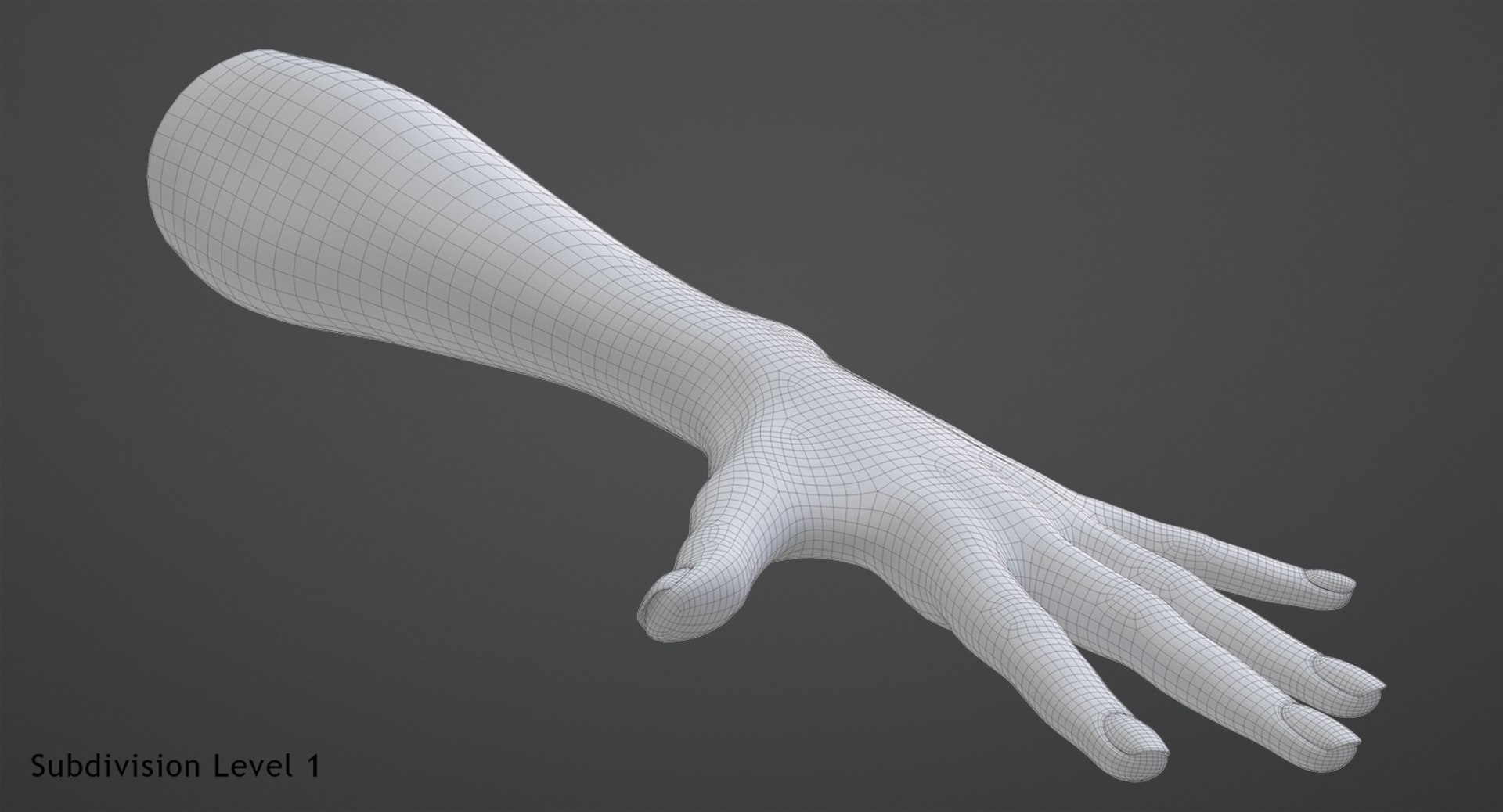 3d Female Hand