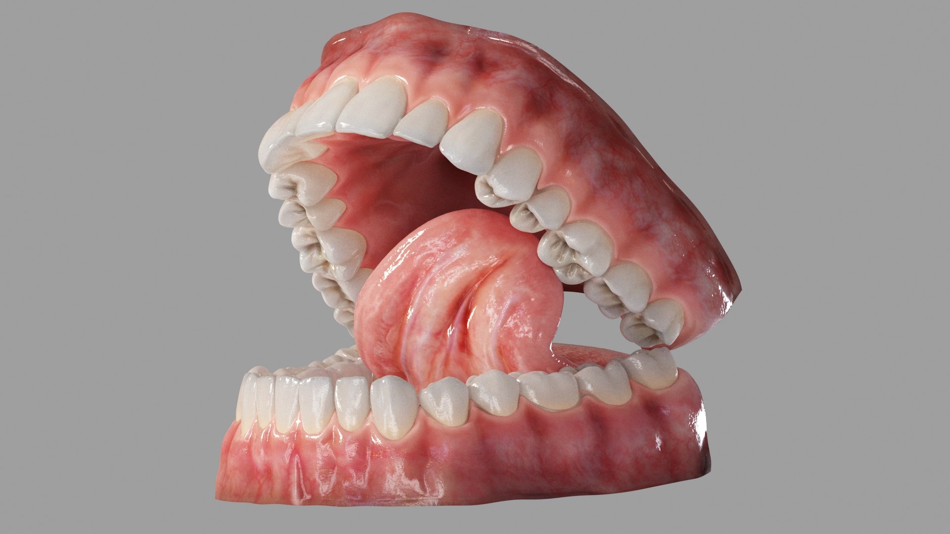Realistic Human Mouth Tongue 3D Model - TurboSquid 1444742