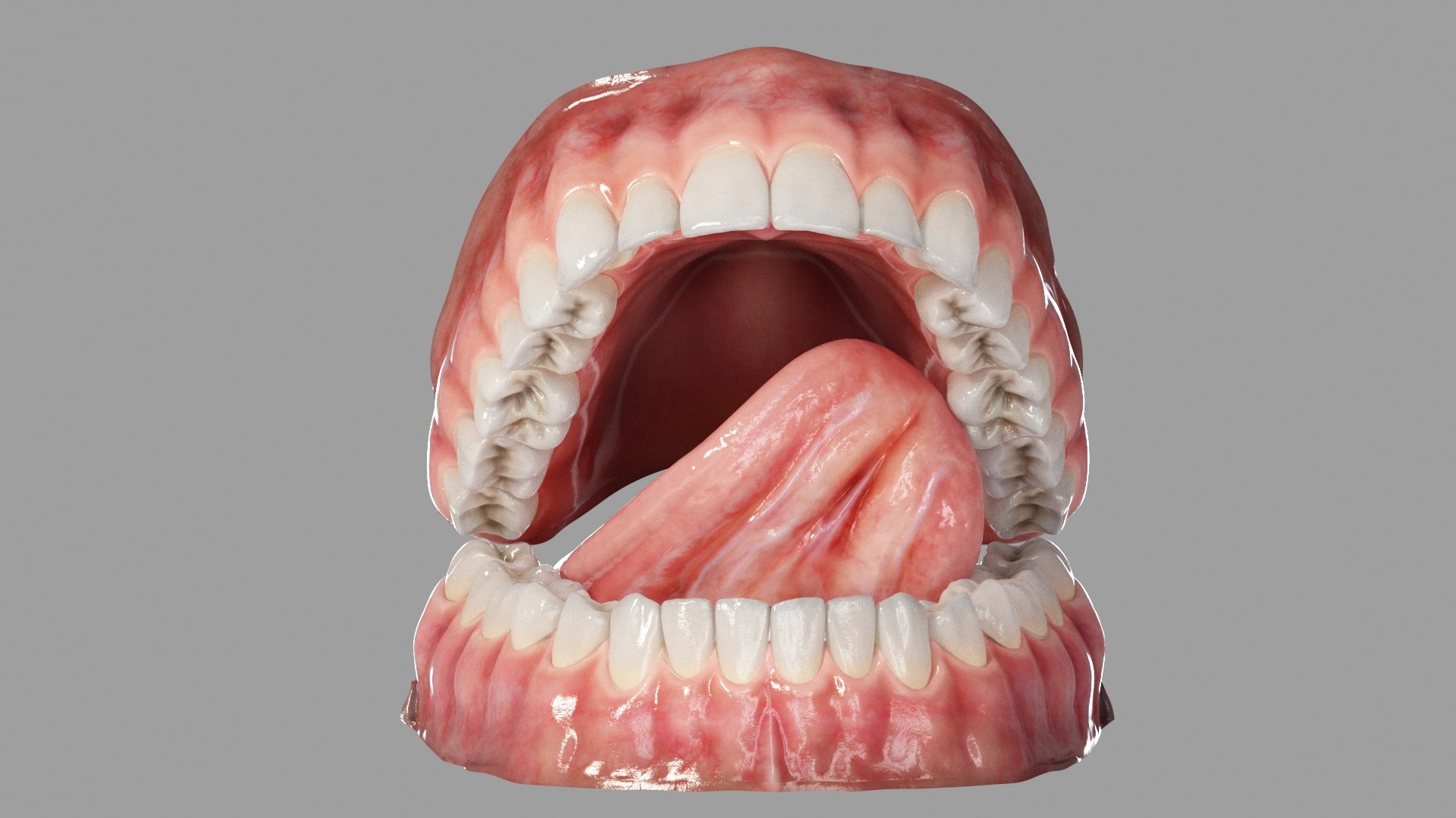 Realistic Human Mouth Tongue 3D Model - TurboSquid 1444742