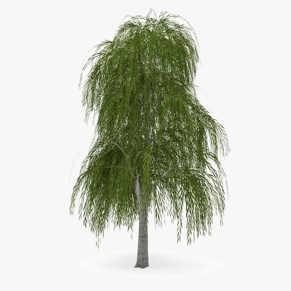 Low Poly Willow Tree 3D Models for Download | TurboSquid