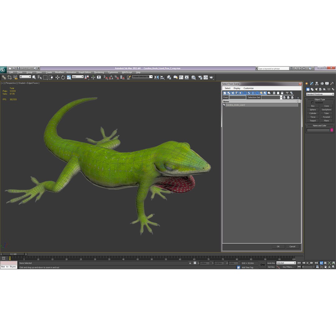 3d carolina anole lizard pose model