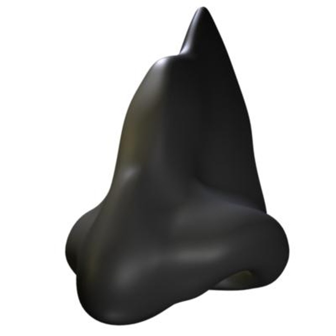 nose 3d model