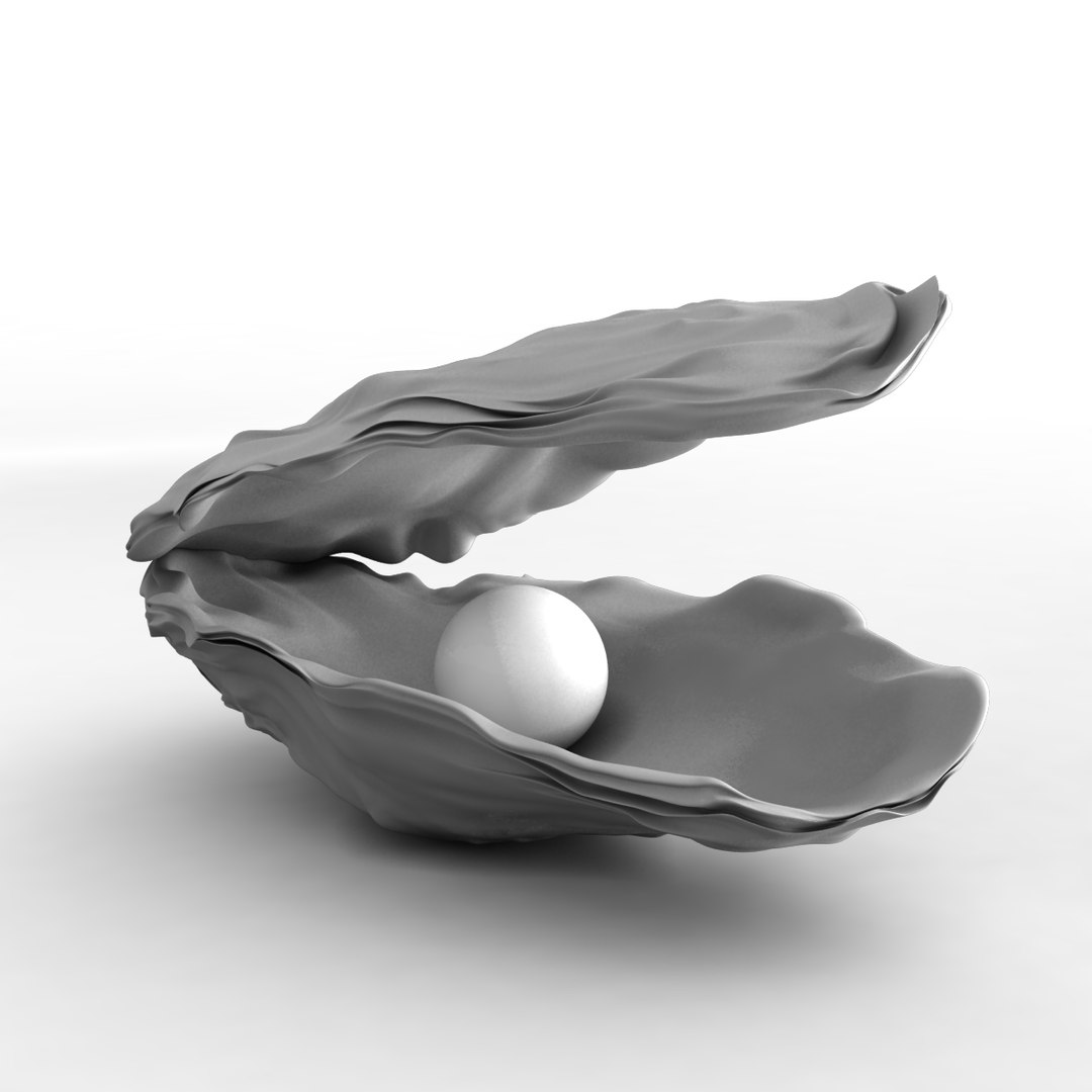 3d oyster shell