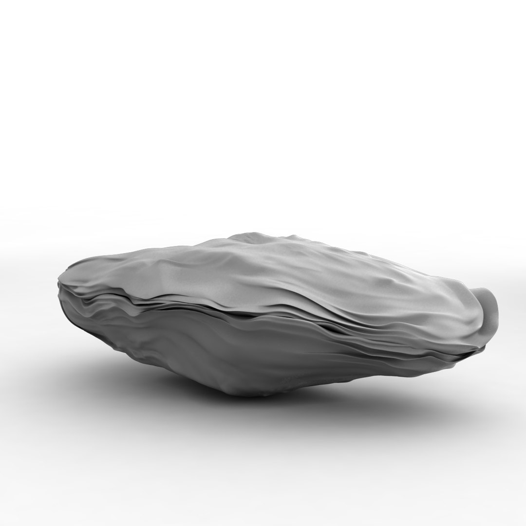 3d oyster shell