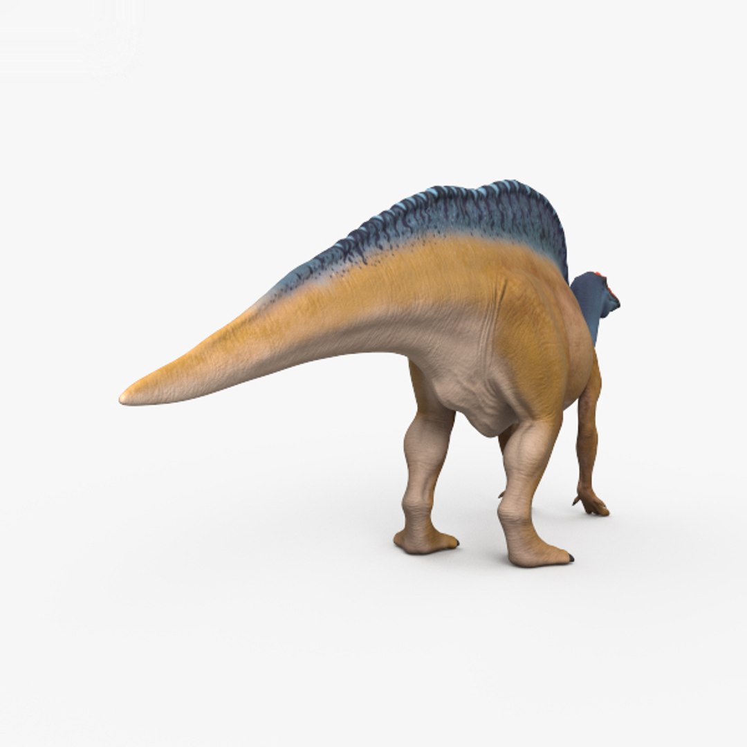 Dinosaurs animal nature 3D model - TurboSquid 1523924