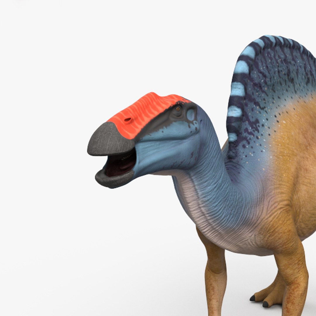 Dinosaurs animal nature 3D model - TurboSquid 1523924