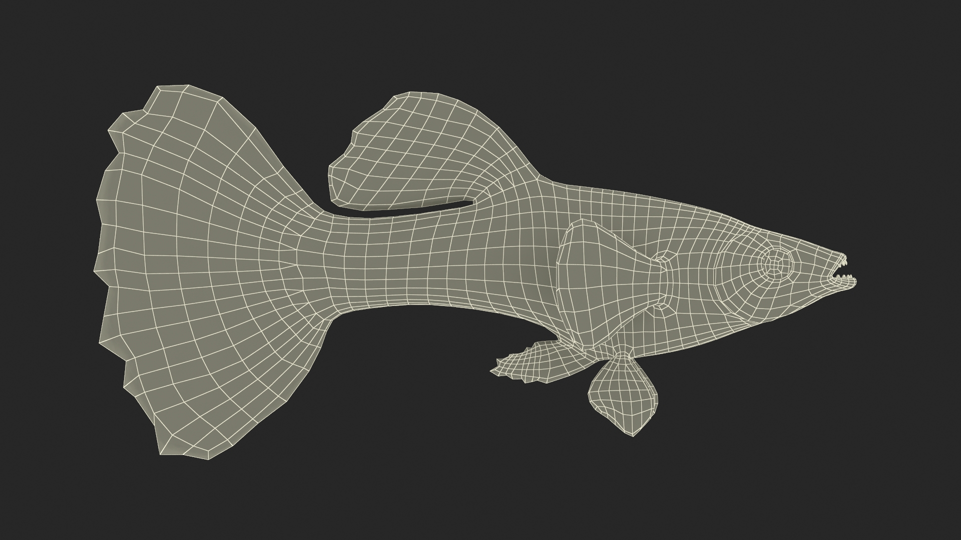 Guppy Fish Red Snake Rigged For Maya 3D Model - TurboSquid 2279016
