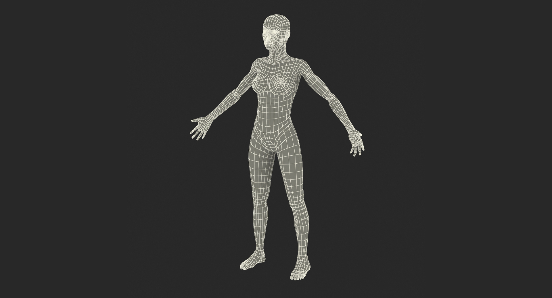 Female Muscular Anatomy 3D Model - TurboSquid 1246353