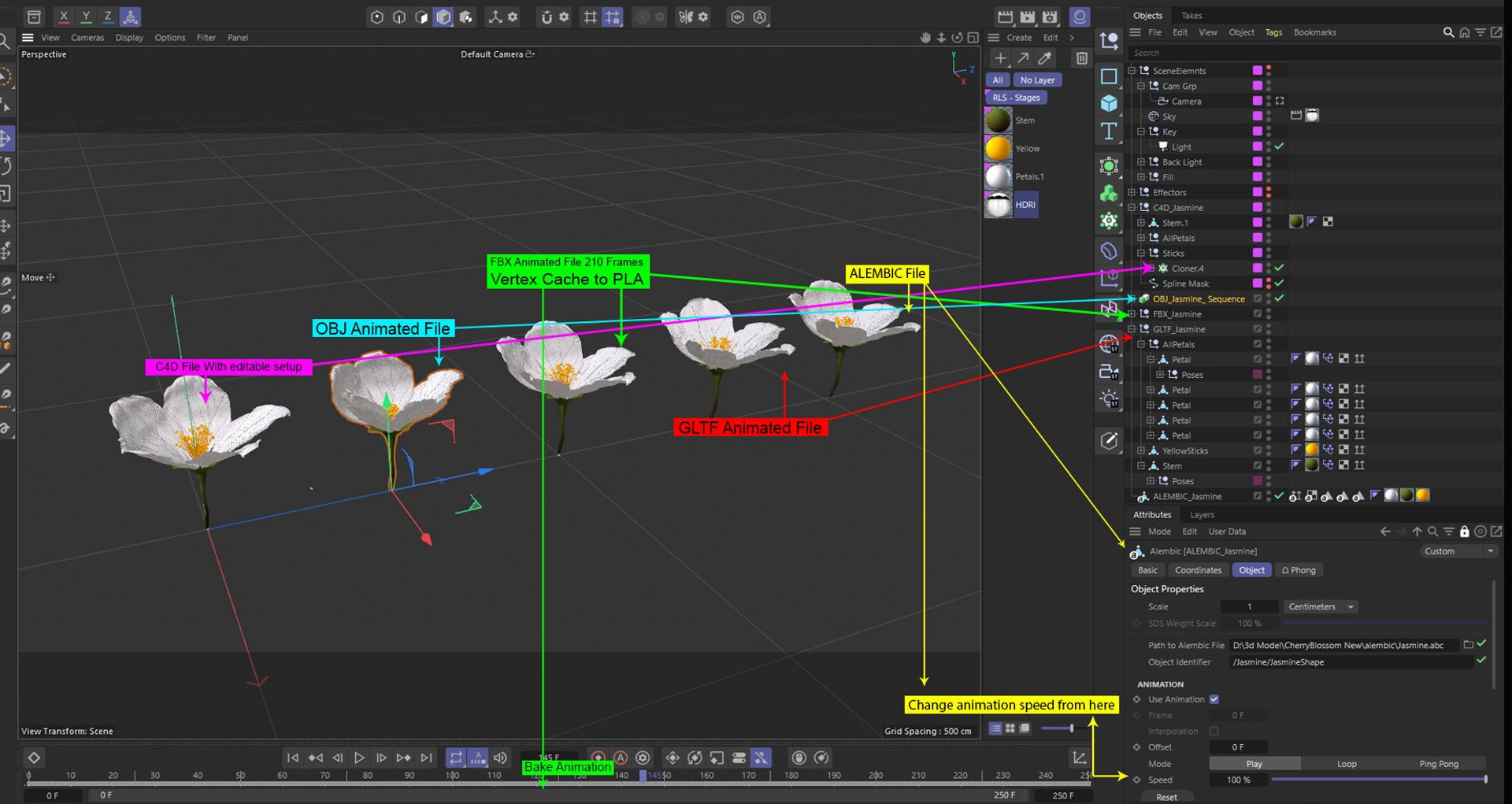 Realistic Jasmine Flower Bloom Animation 3D Model - TurboSquid 2324560