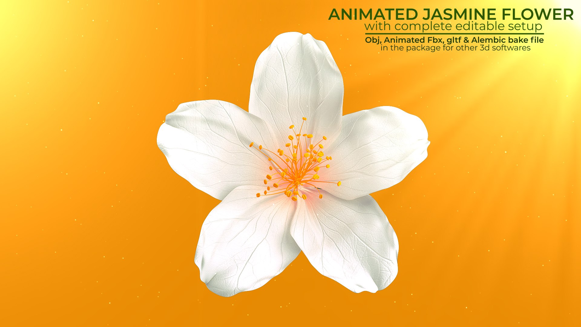 Realistic Jasmine Flower Bloom Animation 3D Model - TurboSquid 2324560