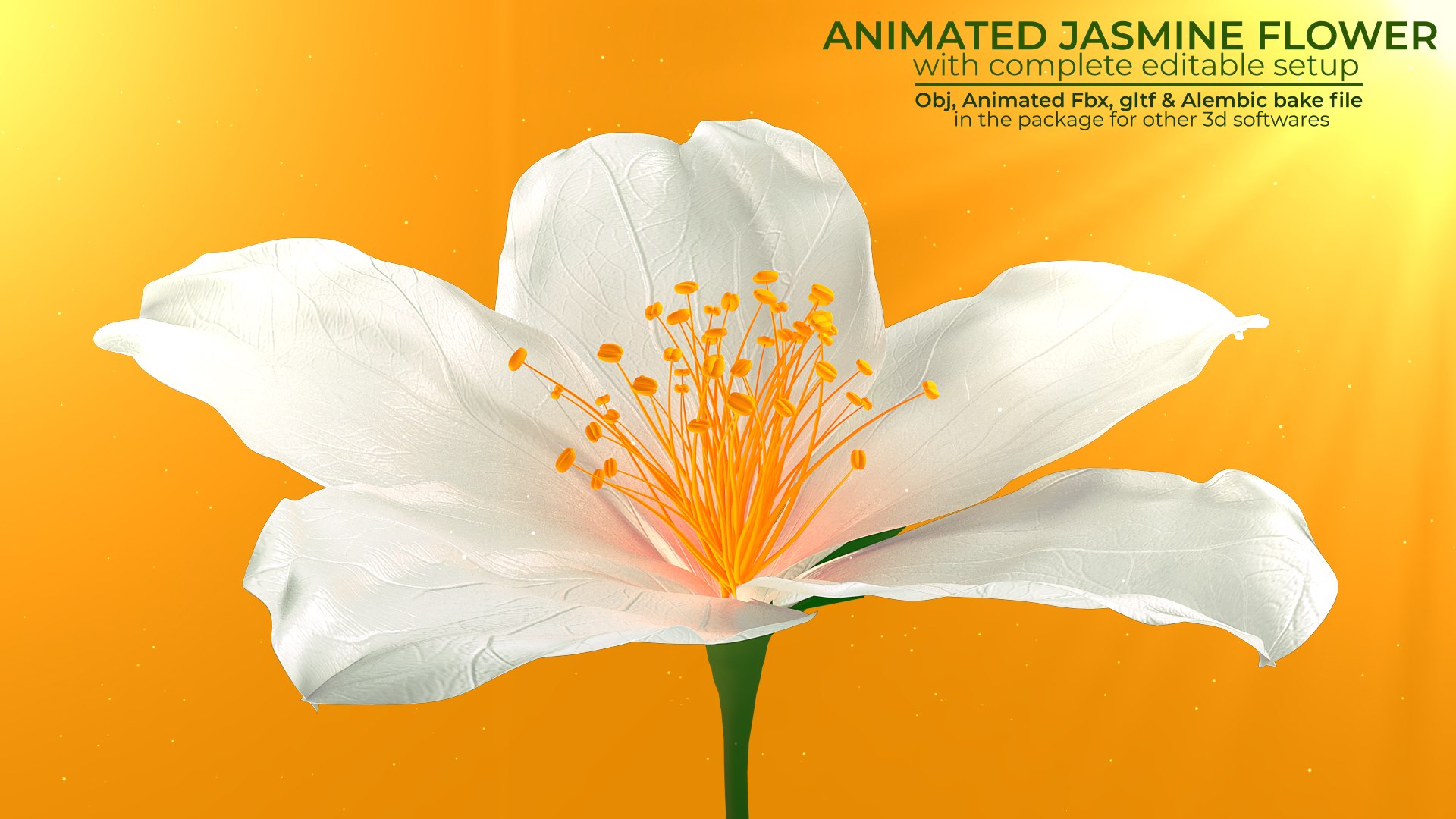 Realistic Jasmine Flower Bloom Animation 3D Model - TurboSquid 2324560