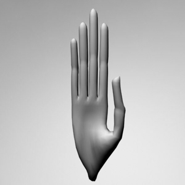 hand long 3d model