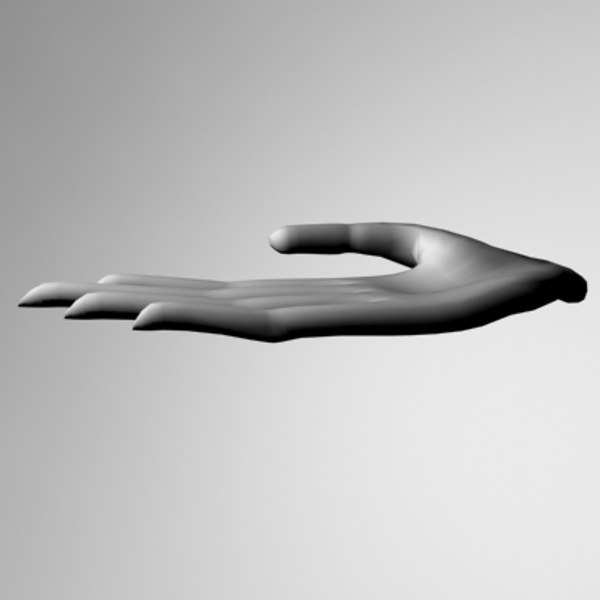 hand long 3d model