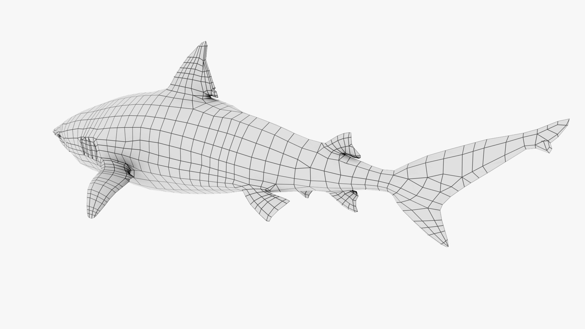 3D Bull Shark Base Mesh - TurboSquid 2152474