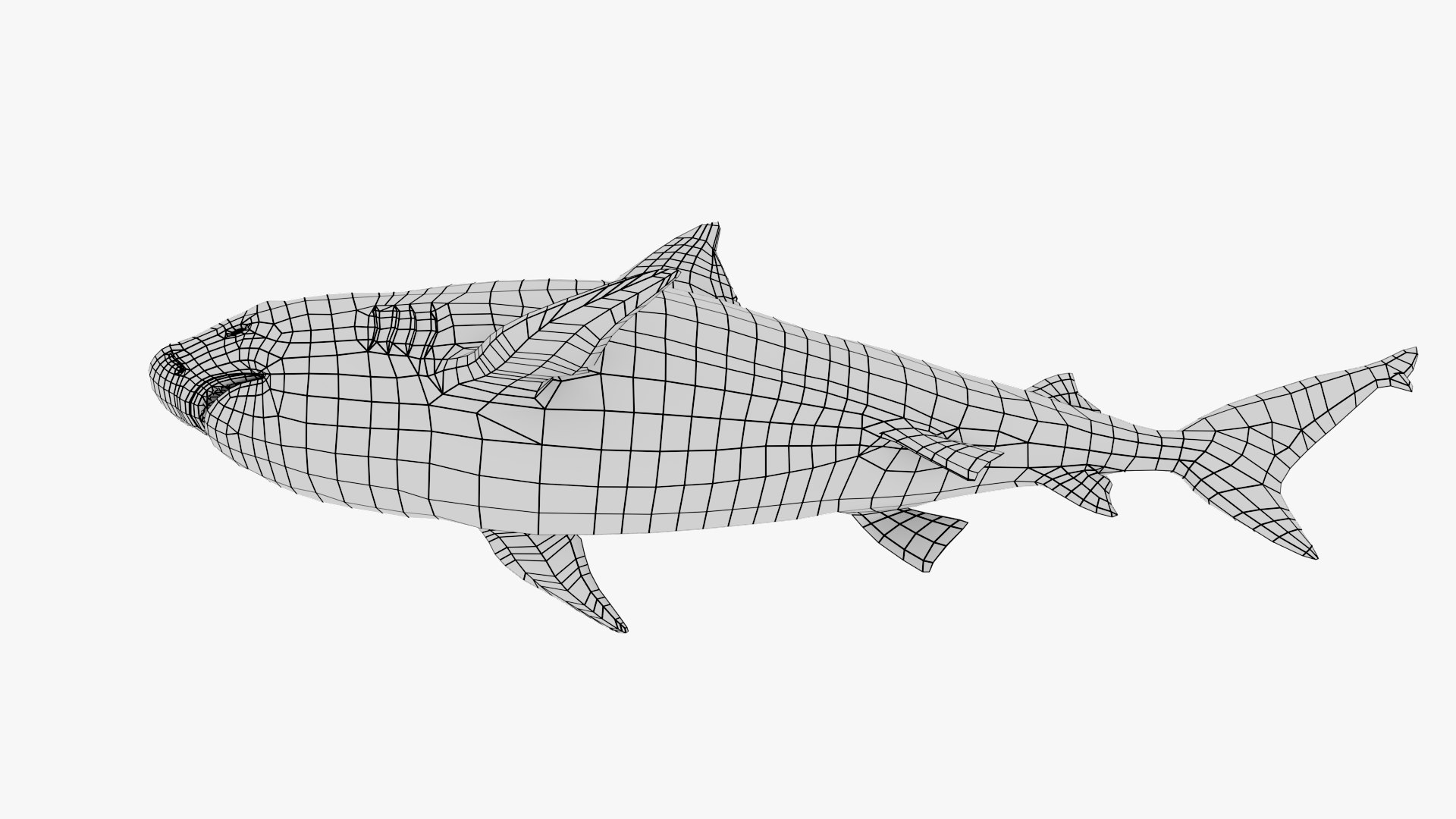 3D Bull Shark Base Mesh - TurboSquid 2152474