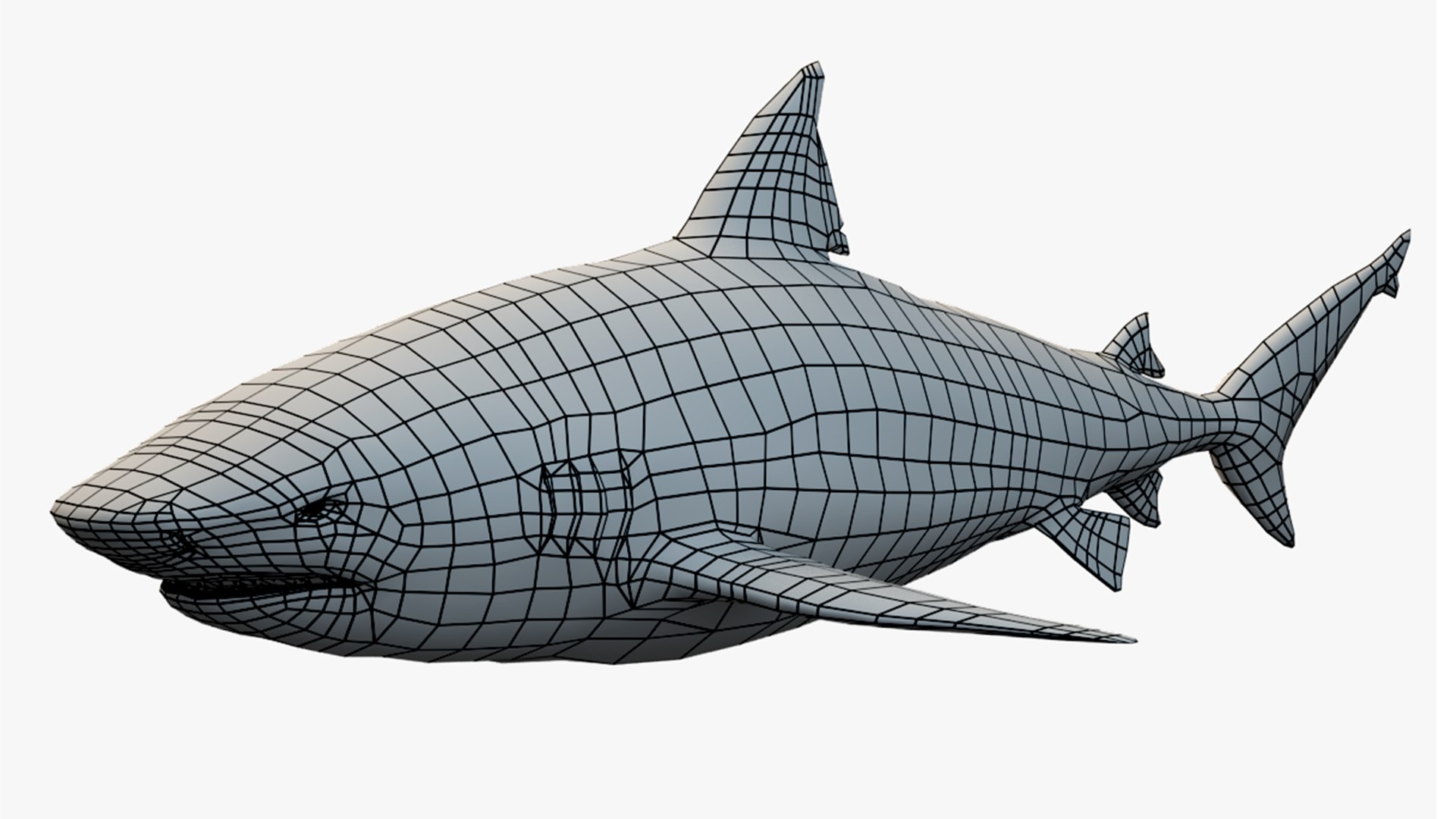 3D Bull Shark Base Mesh - TurboSquid 2152474
