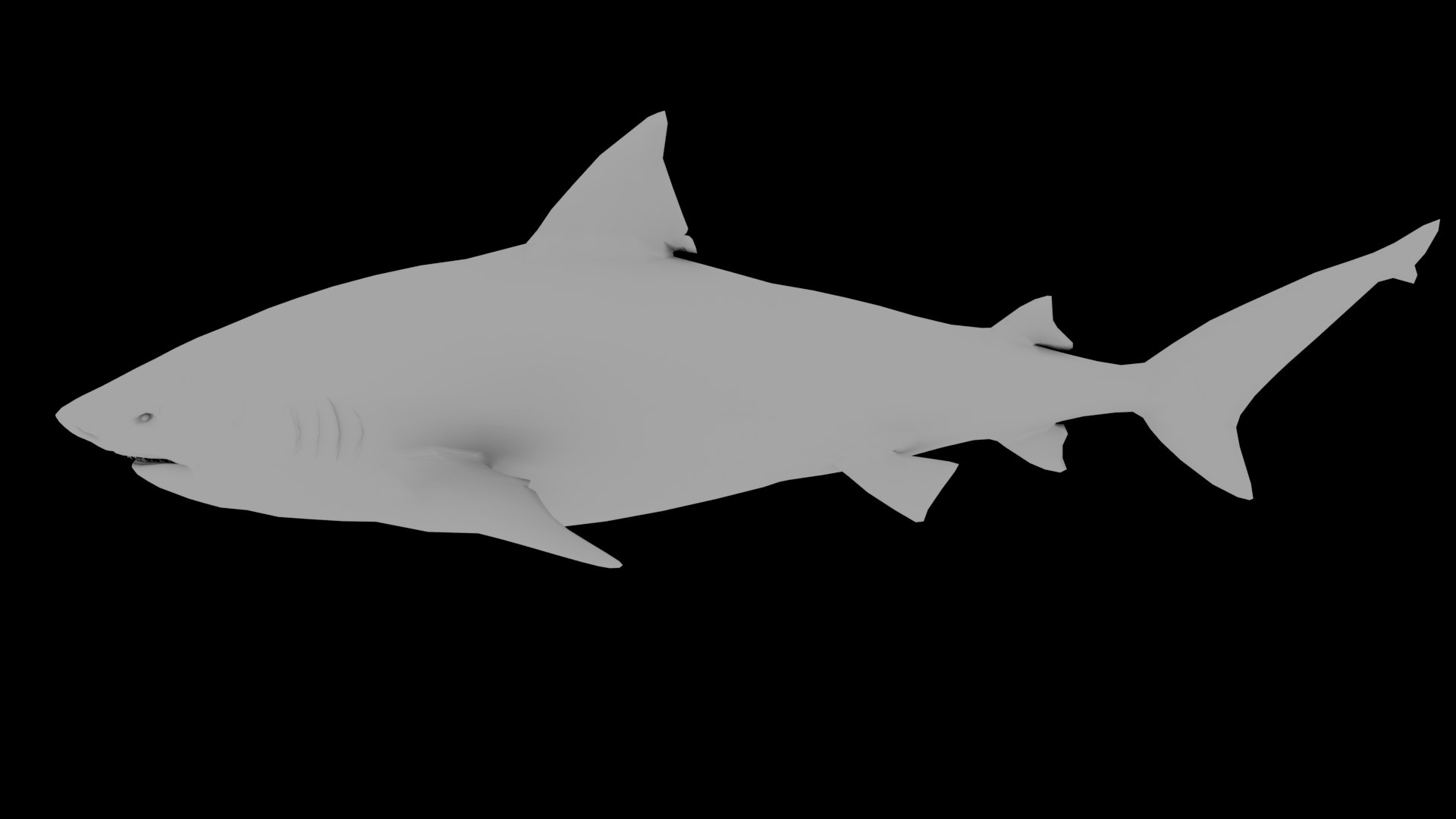3D Bull Shark Base Mesh - TurboSquid 2152474