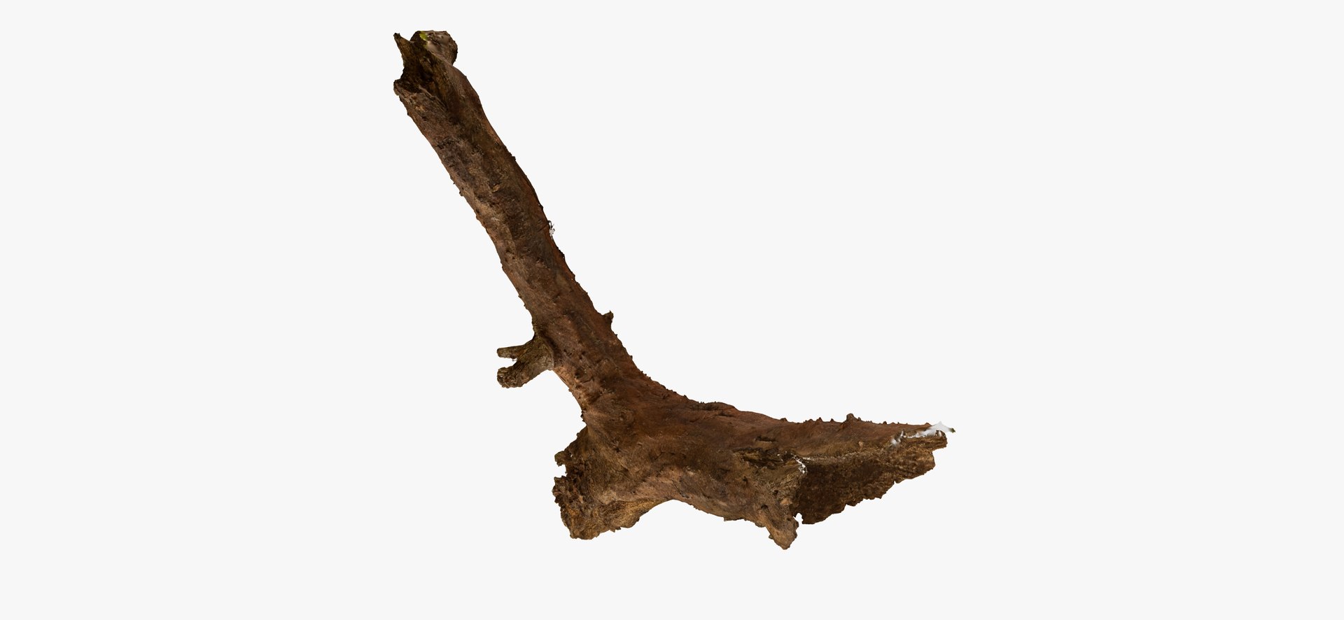 3D Broken Tree Bark Piece 01 RAW Scan Model - TurboSquid 2143333