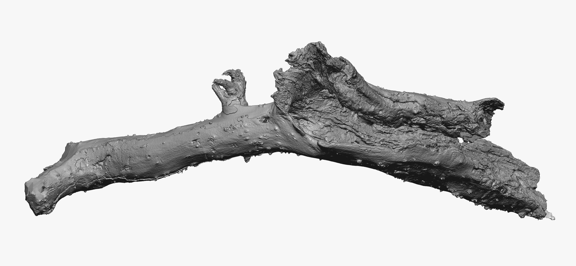 3D Broken Tree Bark Piece 01 RAW Scan Model - TurboSquid 2143333