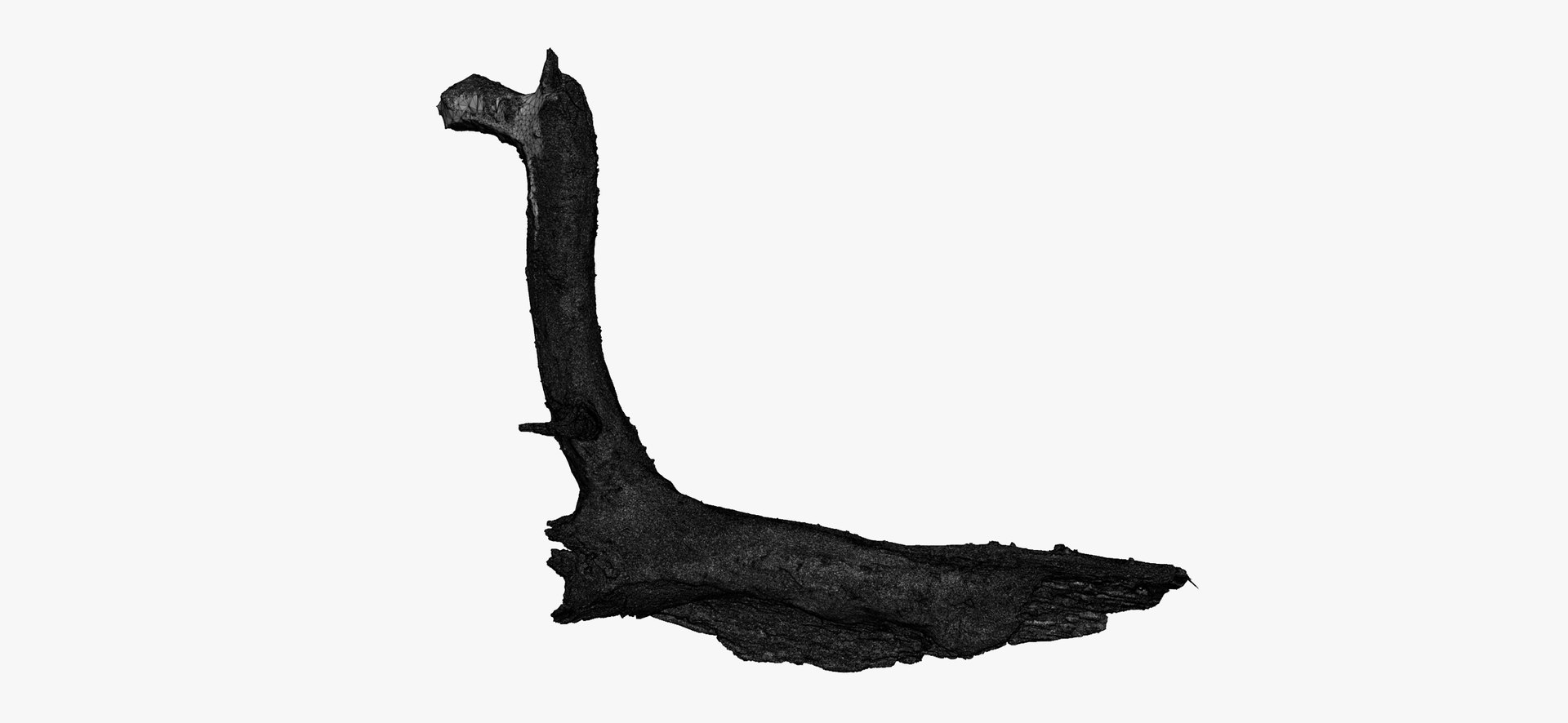 3D Broken Tree Bark Piece 01 RAW Scan Model - TurboSquid 2143333