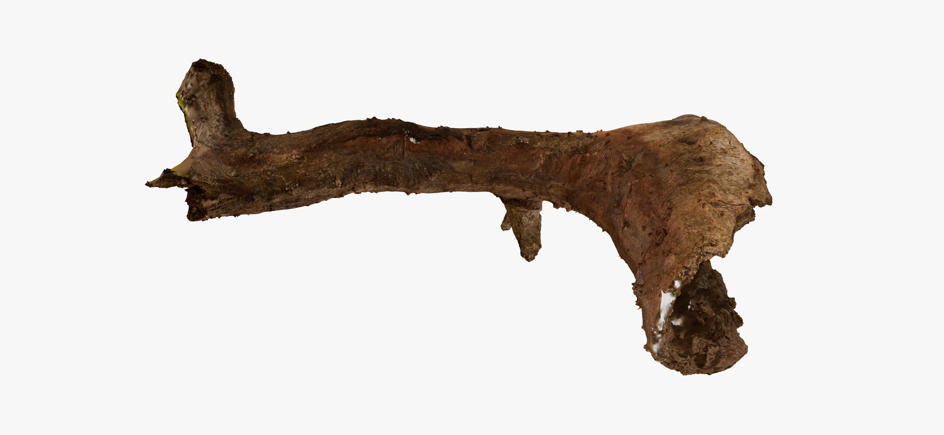 3D Broken Tree Bark Piece 01 RAW Scan Model - TurboSquid 2143333