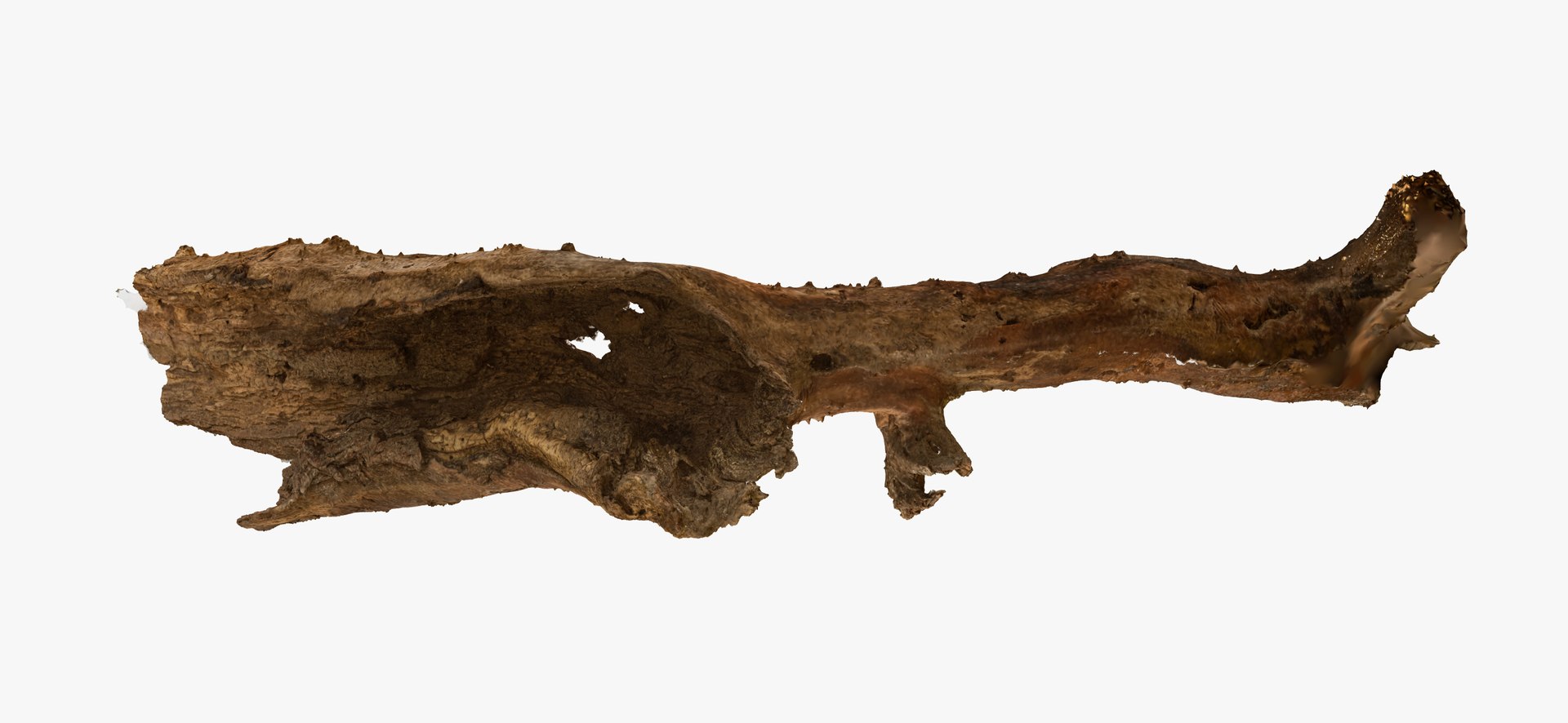 3D Broken Tree Bark Piece 01 RAW Scan Model - TurboSquid 2143333