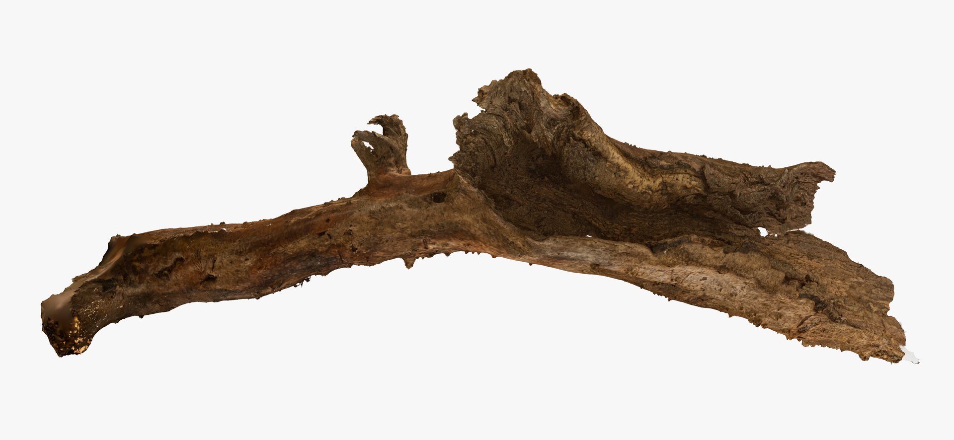 3D Broken Tree Bark Piece 01 RAW Scan Model - TurboSquid 2143333