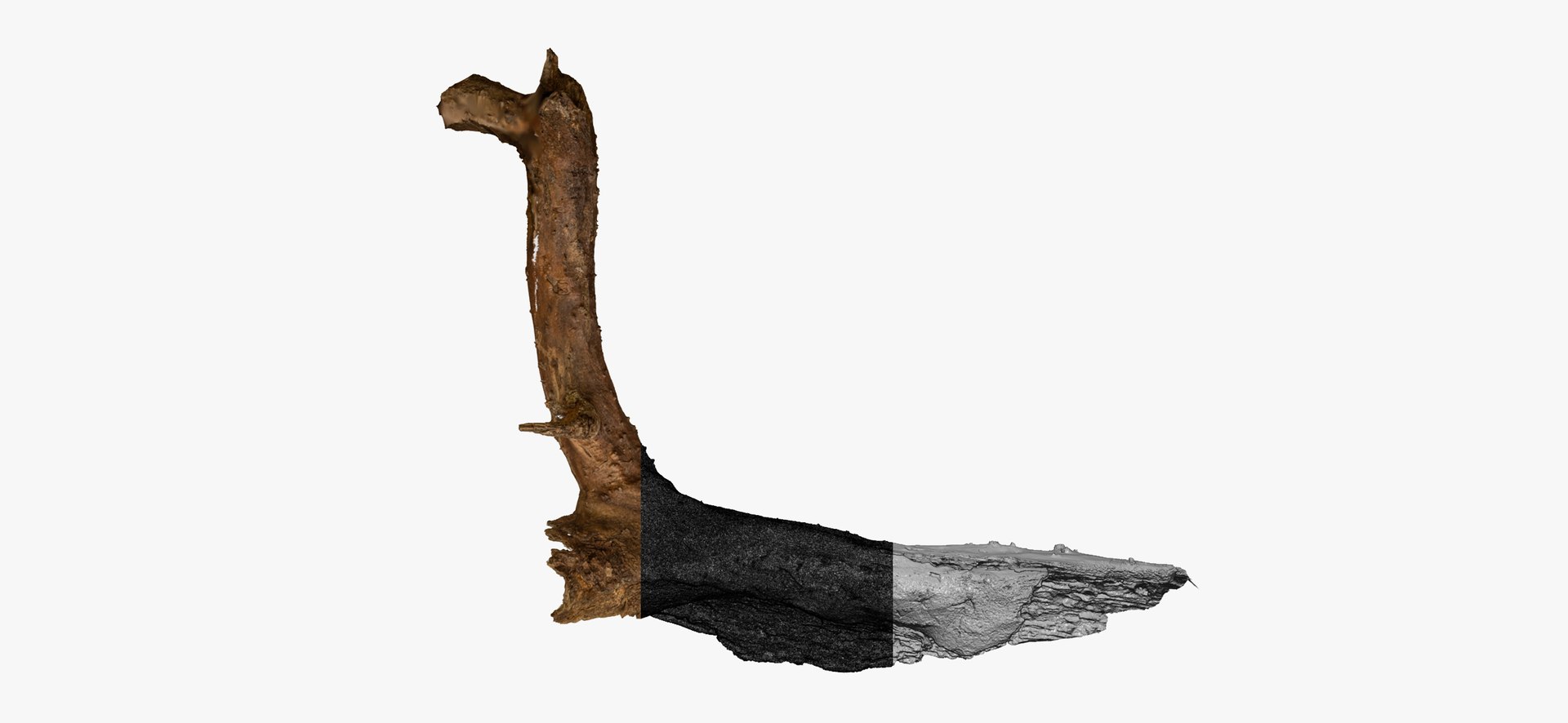 3D Broken Tree Bark Piece 01 RAW Scan Model - TurboSquid 2143333