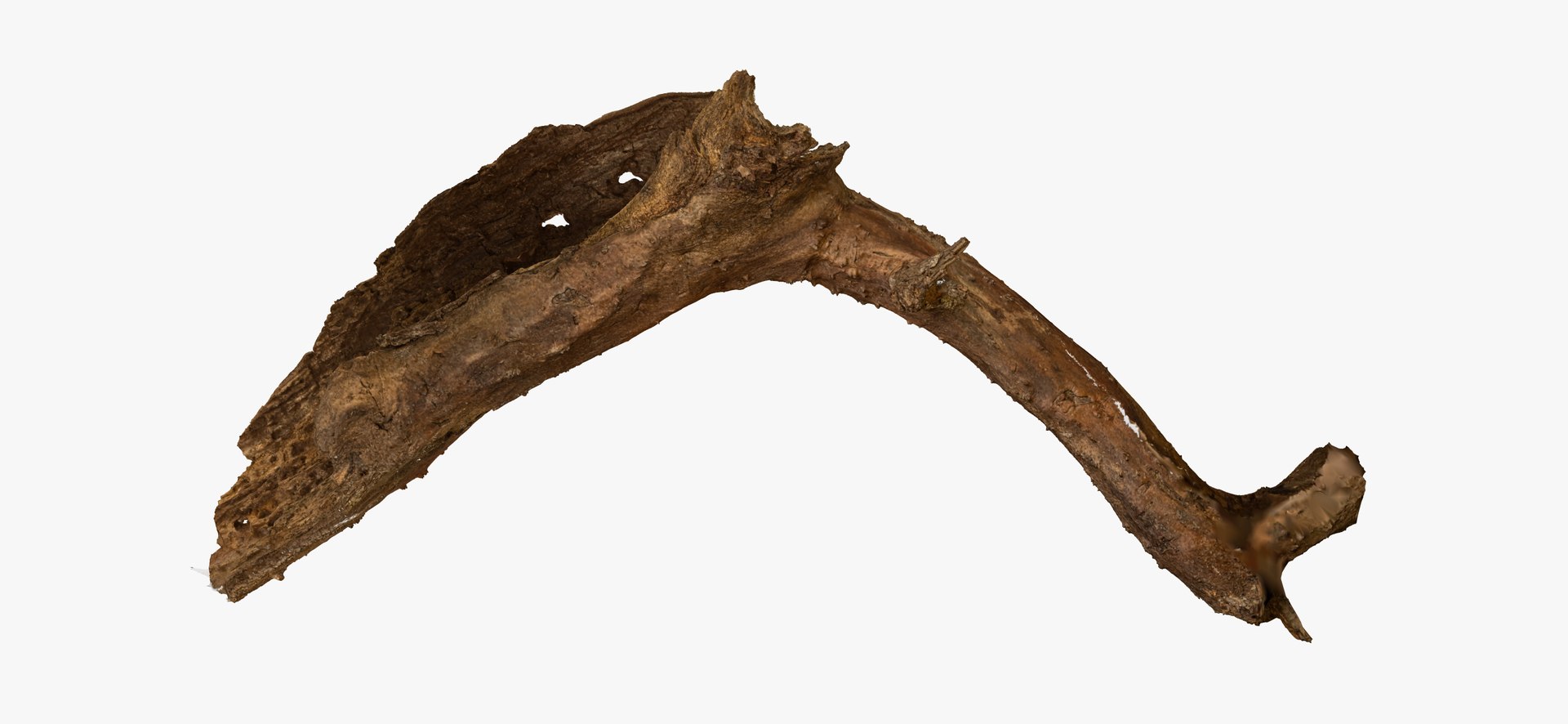 3D Broken Tree Bark Piece 01 RAW Scan Model - TurboSquid 2143333