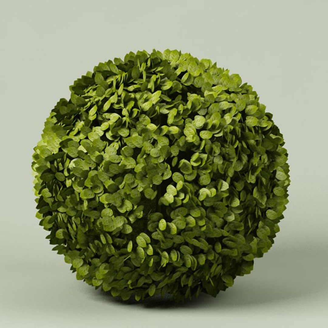 Bush 3d Model