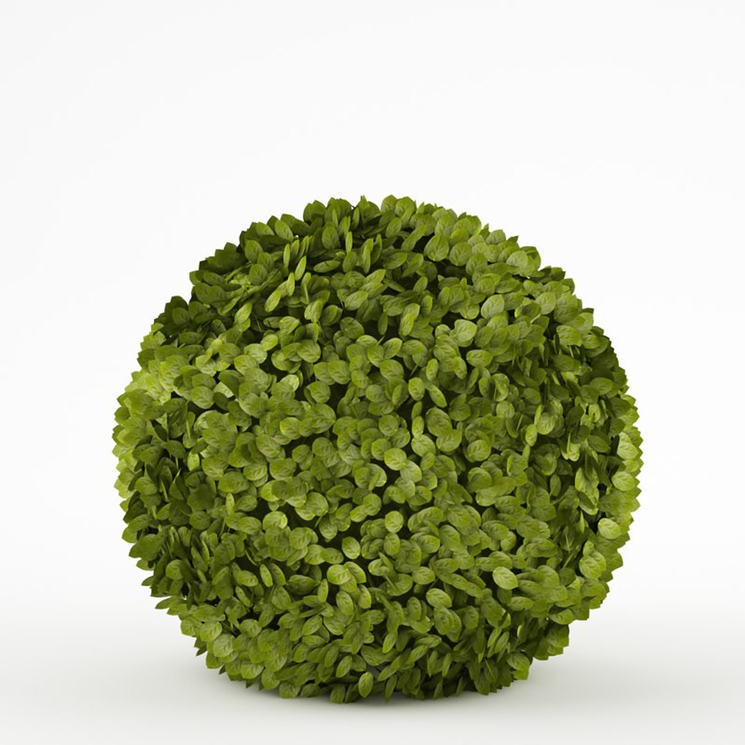 Bush 3d Model