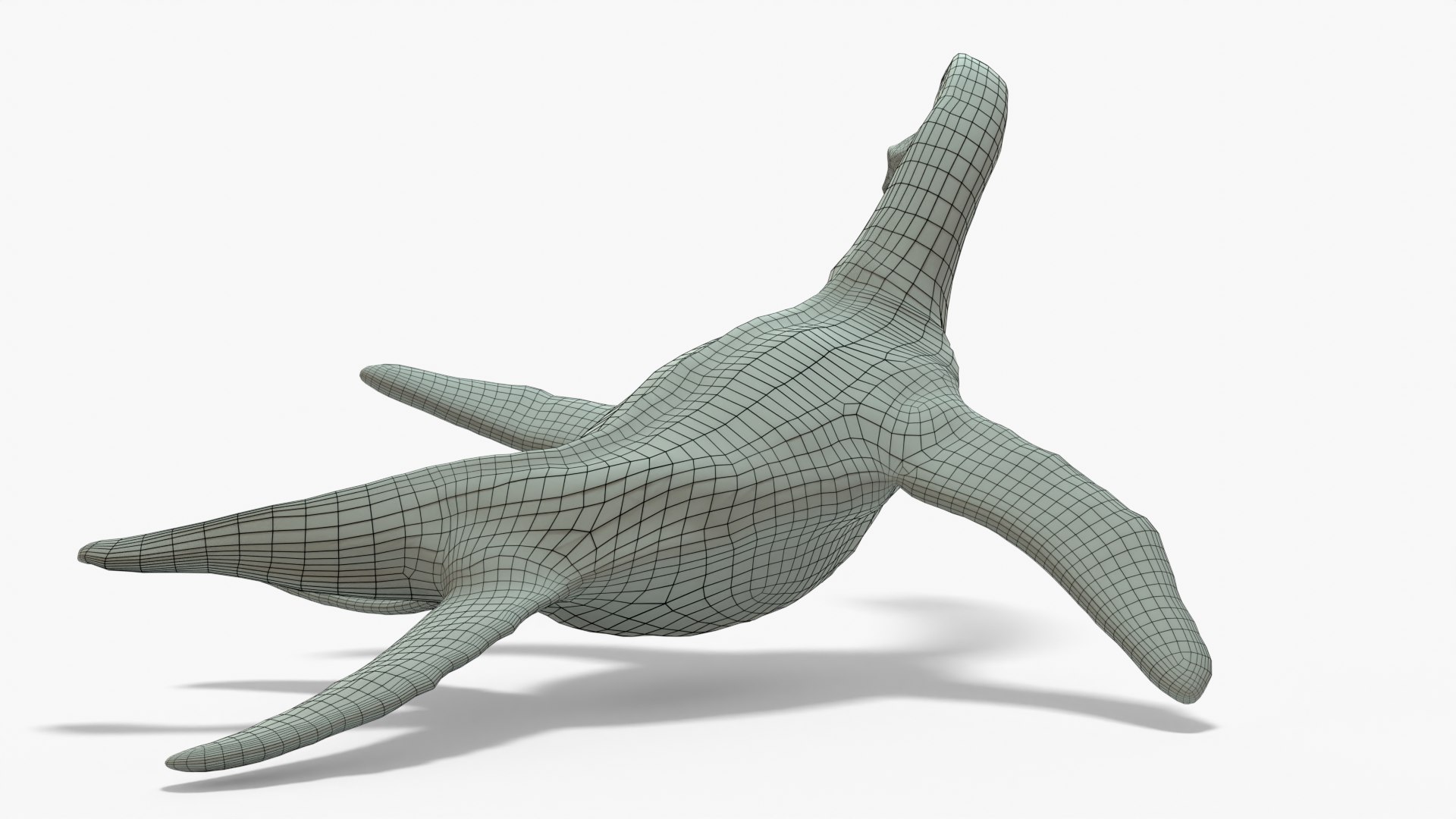 Elasmosaurus Rigged Basemesh 3D - TurboSquid 2064807