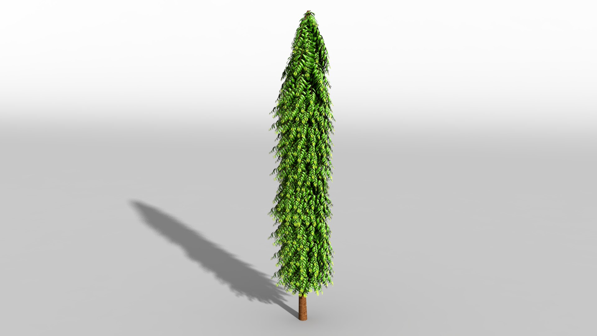 3d Indian Trees Model