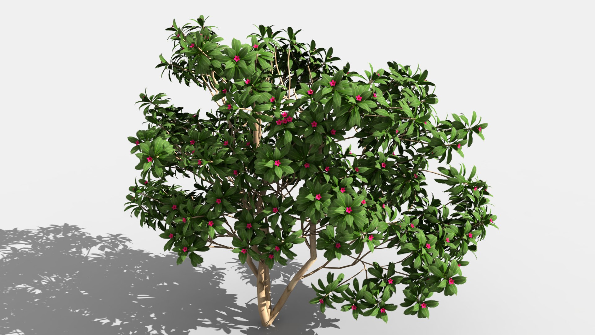 3d Indian Trees Model