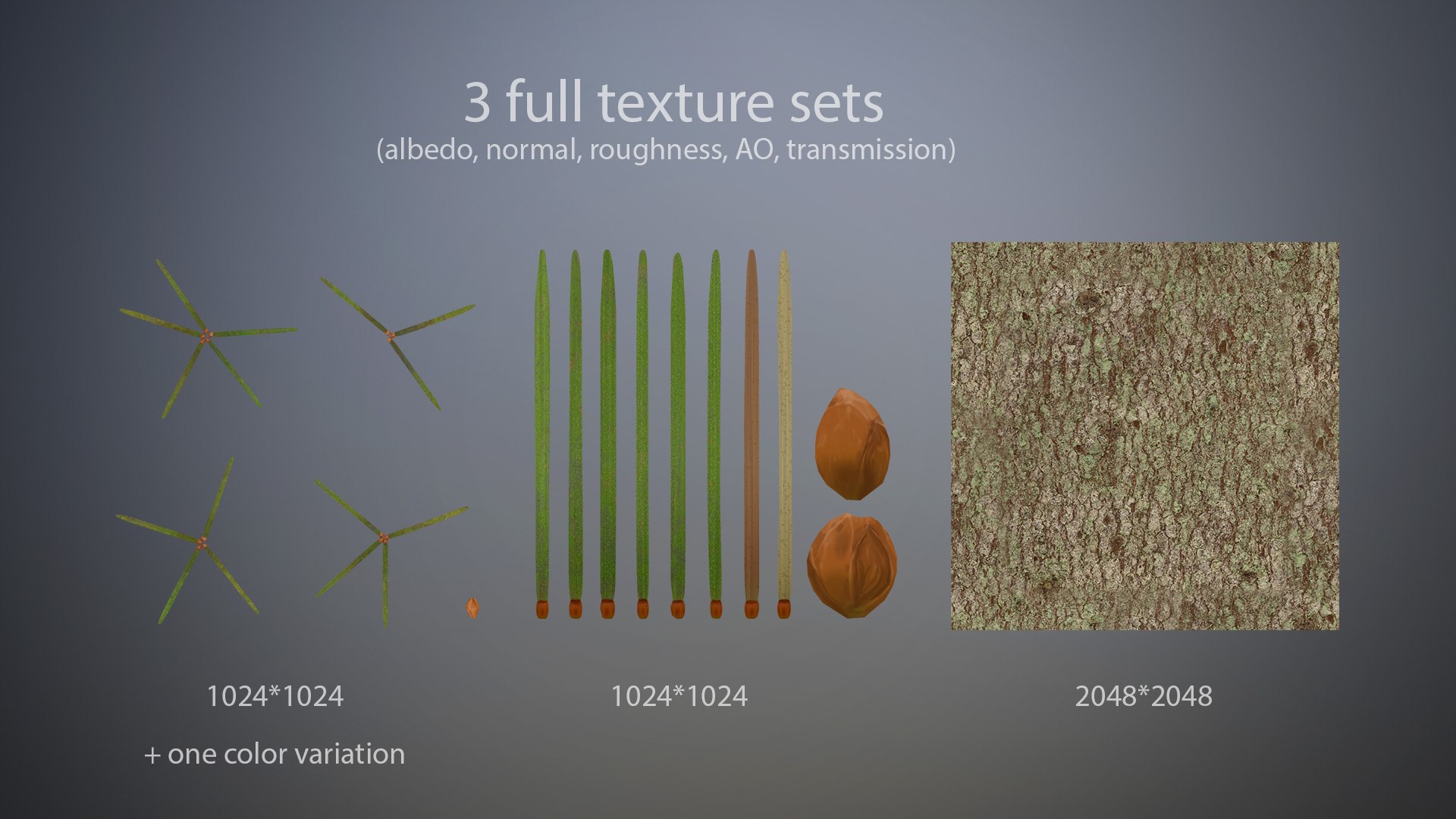 3D Model Spruce Sapling - TurboSquid 2198258