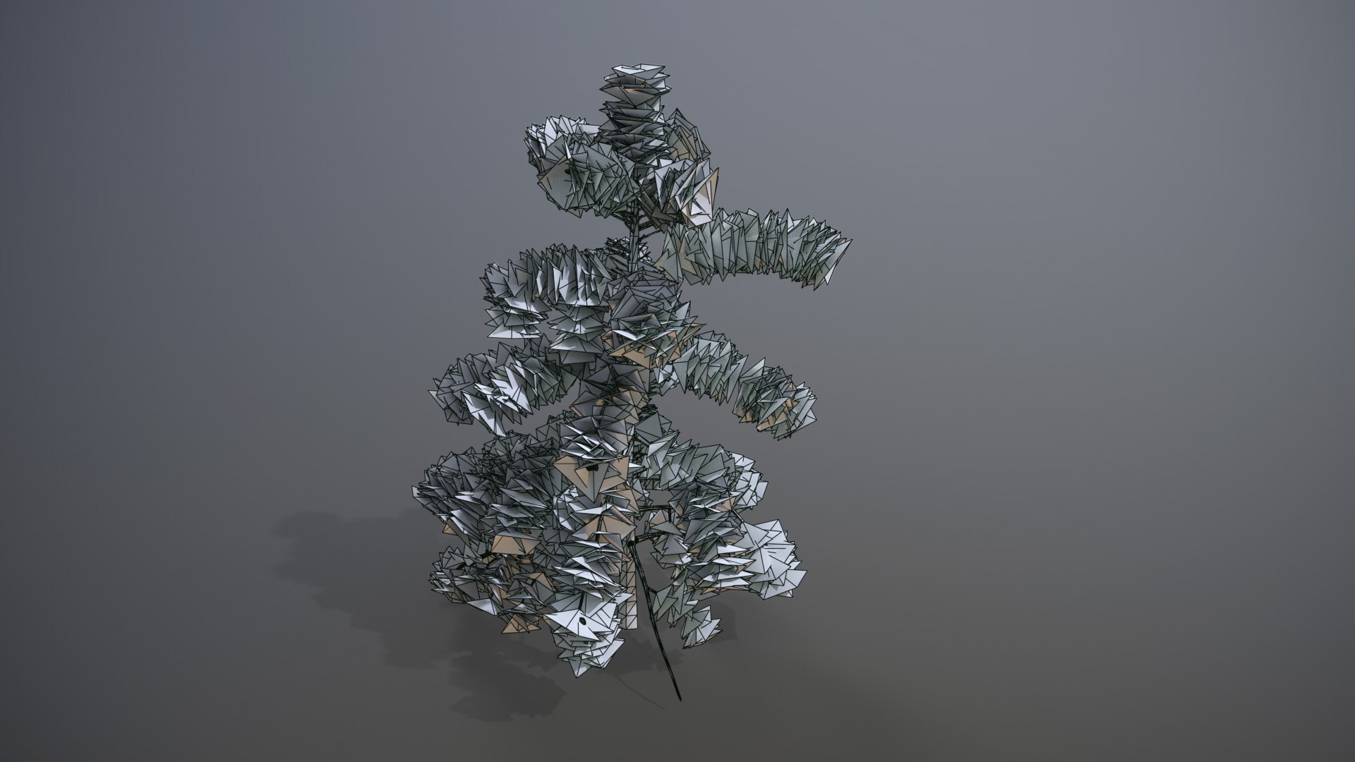 3D Model Spruce Sapling - TurboSquid 2198258
